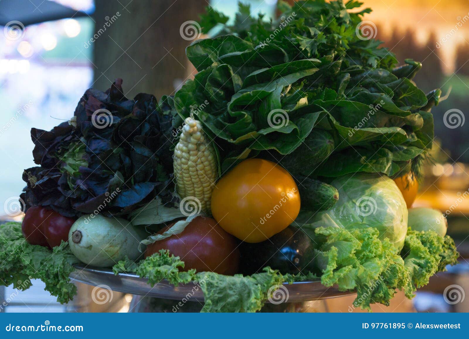 Vegetable set stock image. Image of group, collection - 97761895