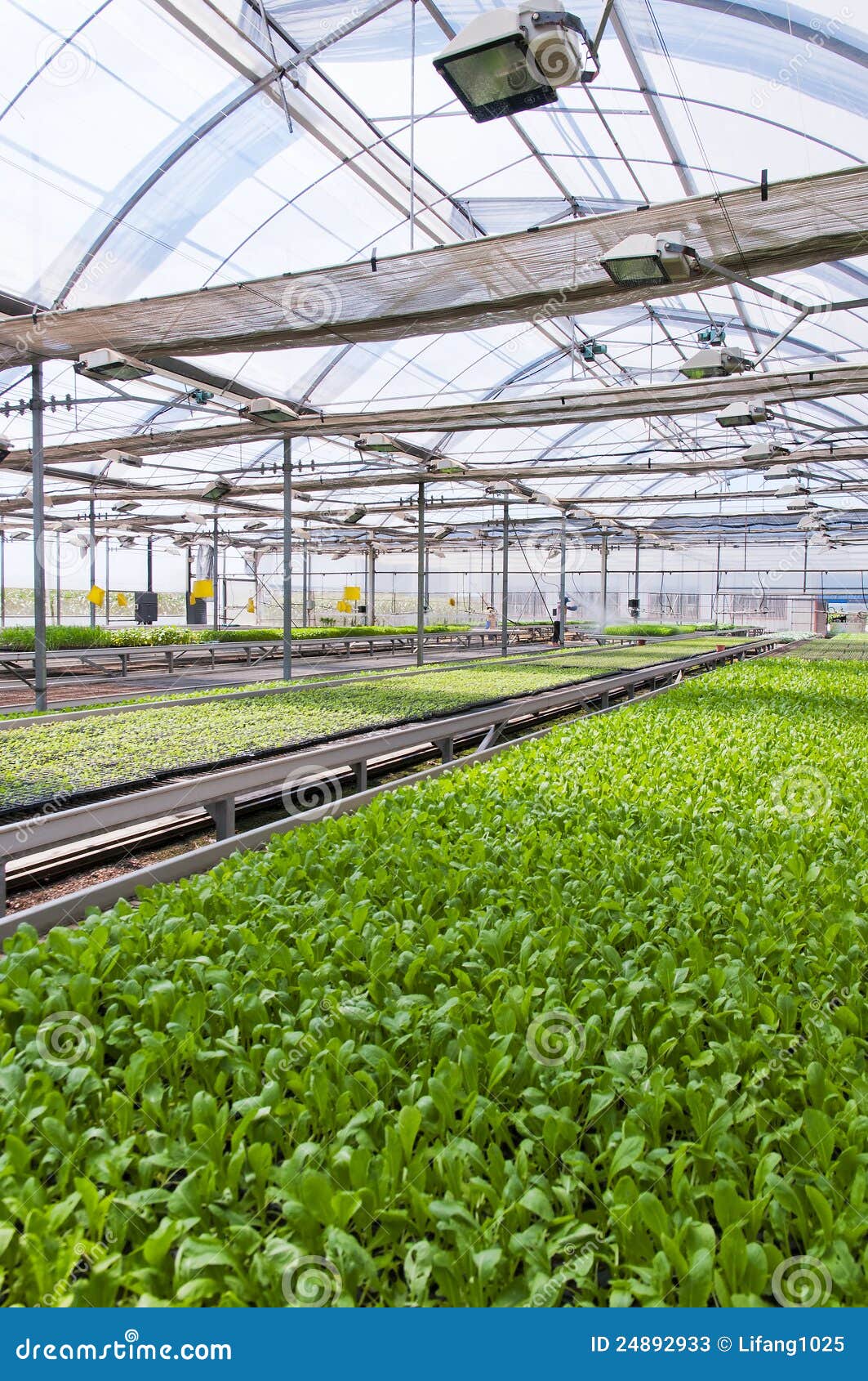 Vegetable shed stock image. Image of agricultural, business - 24892933