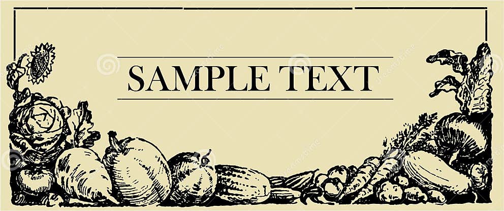 Vegetable Sign board stock vector. Illustration of marrow - 7993908