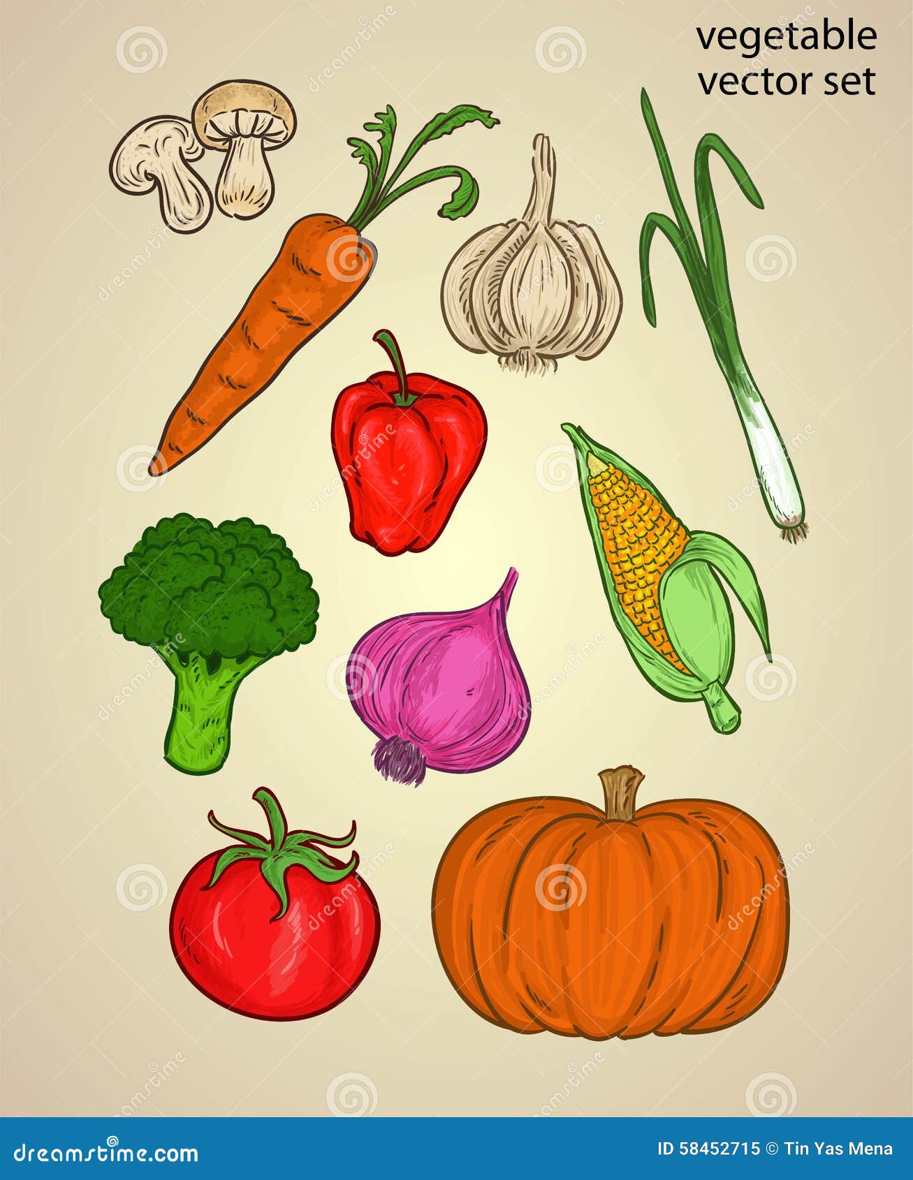 Vegetable Sketch Or Ingredient With Colorful Set Vector Illustration ...