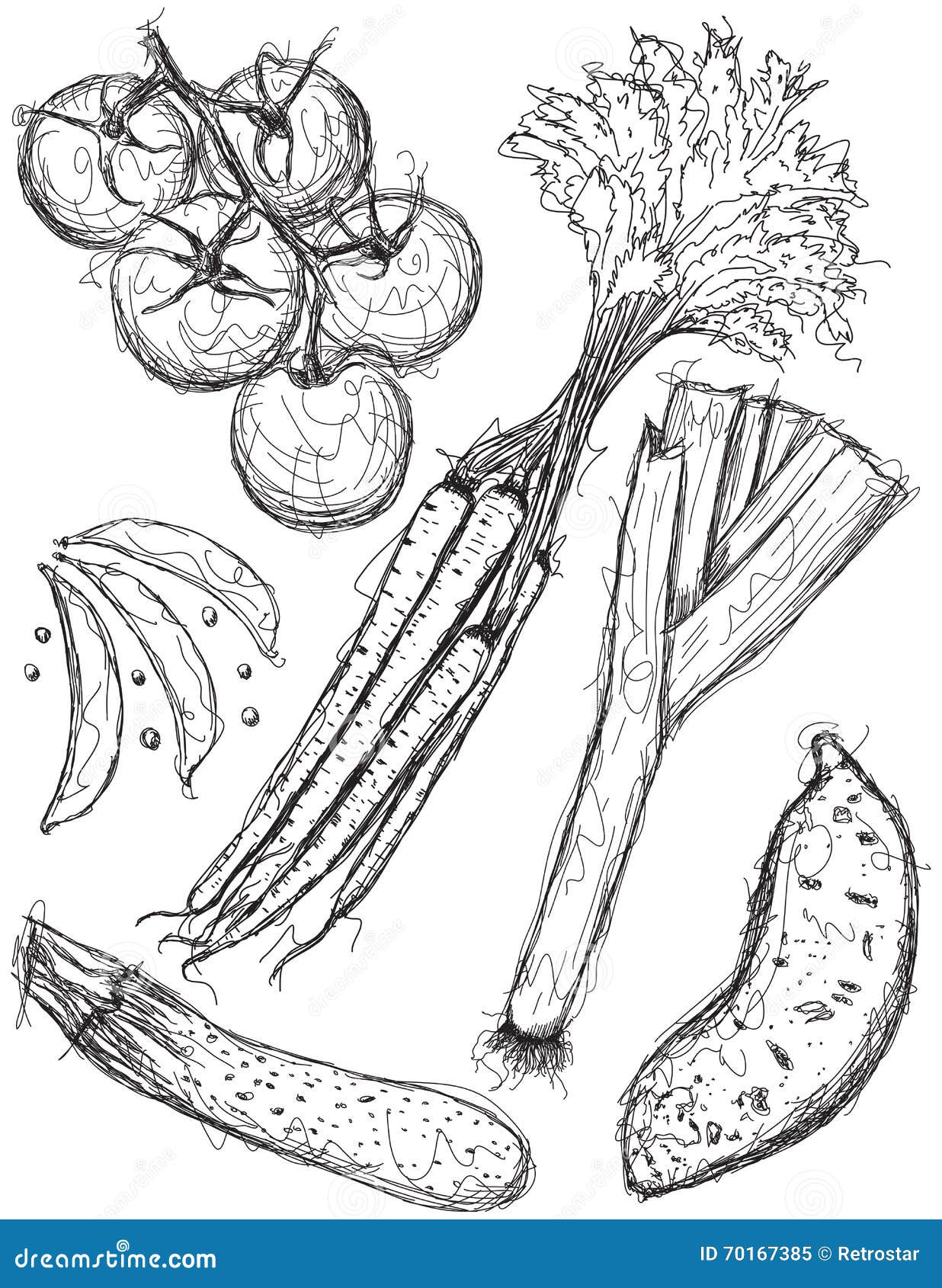 Vegetable sketches stock vector. Illustration of sketched - 70167385