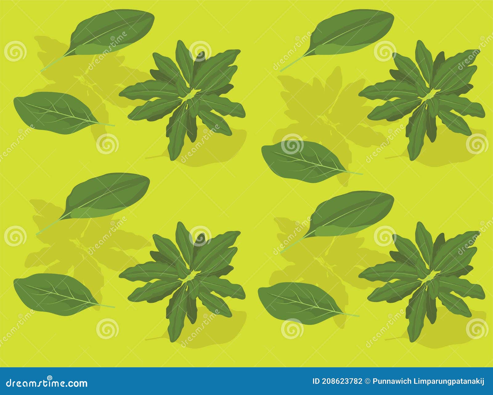 Vegetable Sorrel Cartoon Vector Illustration Seamless Background-01 ...