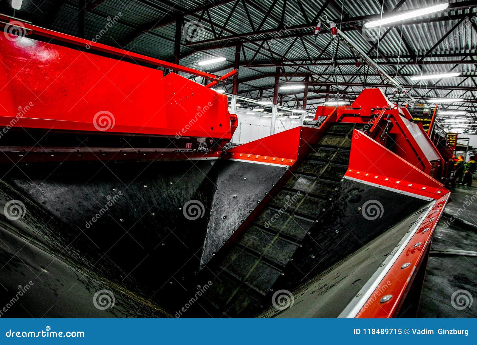 Vegetable Sorting, Processing and Packing Factory Stock Image - Image ...