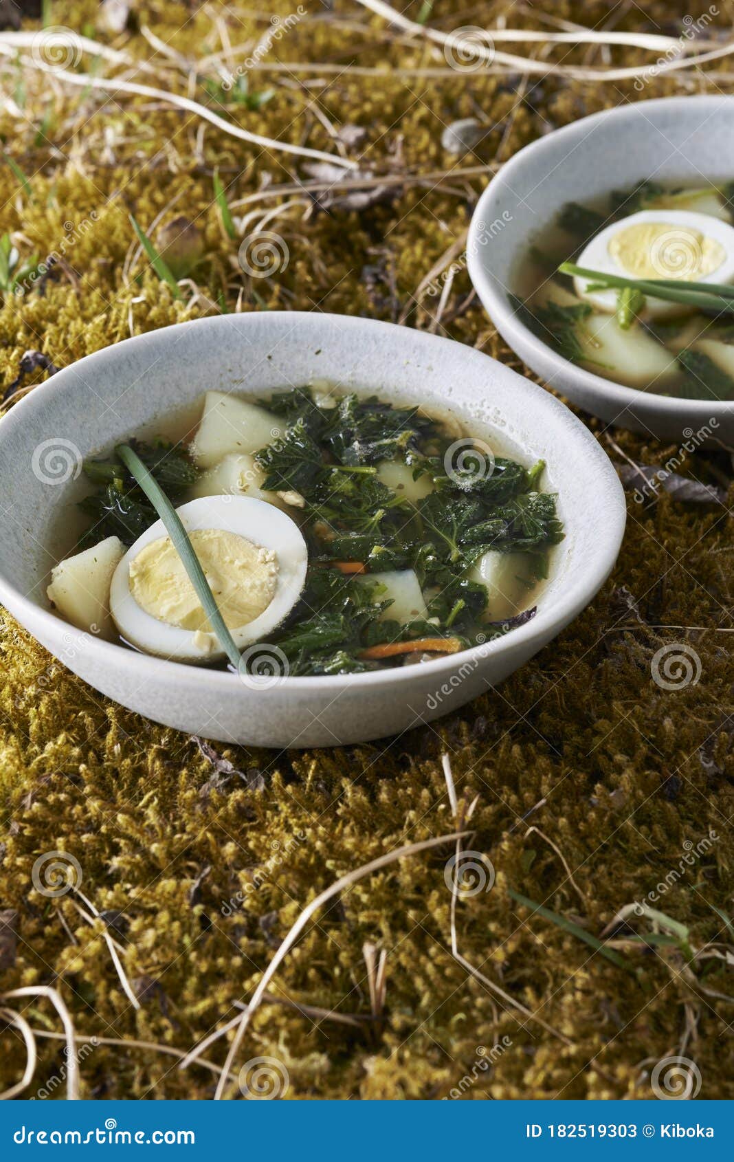 Vegetable soup with nettle stock image. Image of health - 182519303