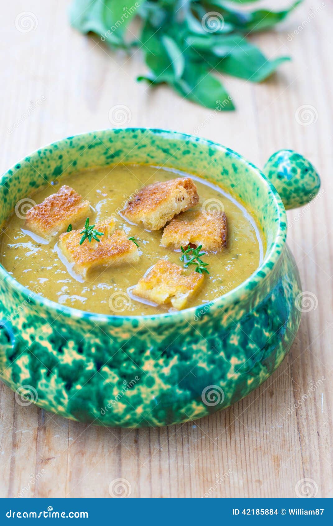 Vegetable Soup stock photo. Image of cream, bread, onion - 42185884