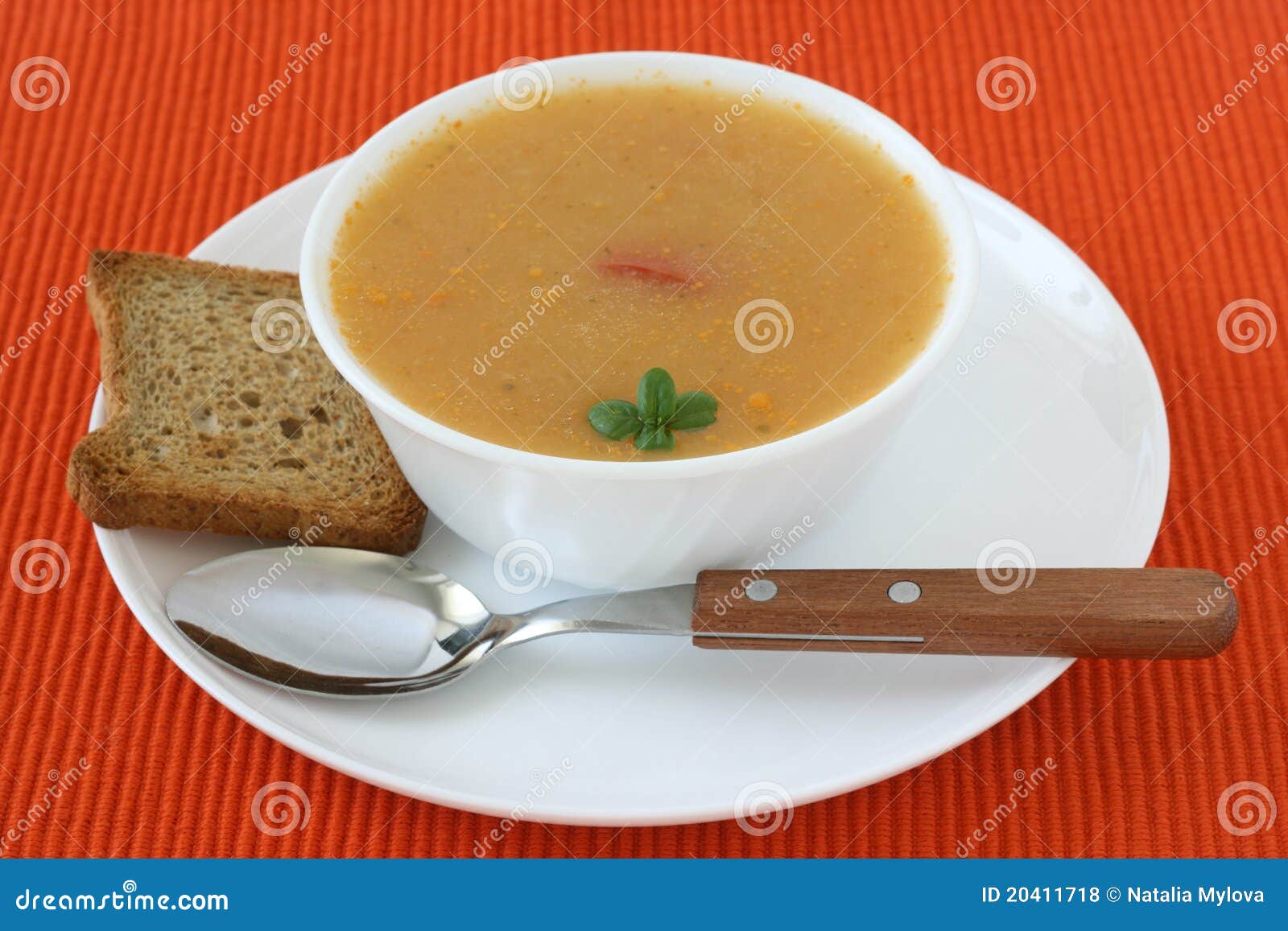 Vegetable soup with toasts stock photo. Image of food - 20411718