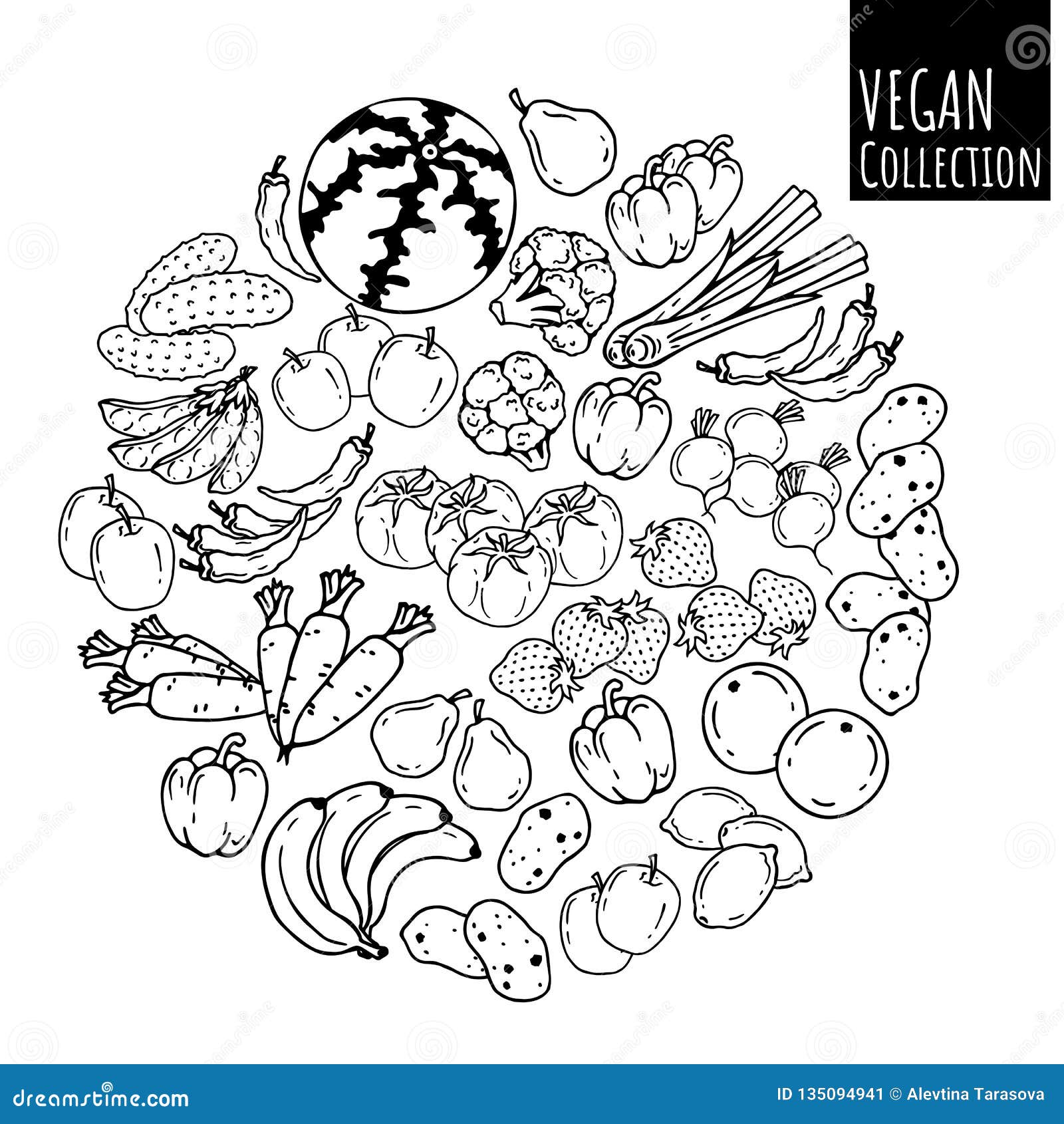 Vegetable sphere sketch stock vector. Illustration of food - 135094941