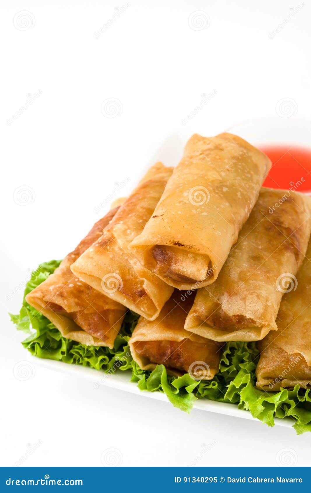 Vegetable Spring Rolls Isolated Stock Image - Image of white, vegan ...