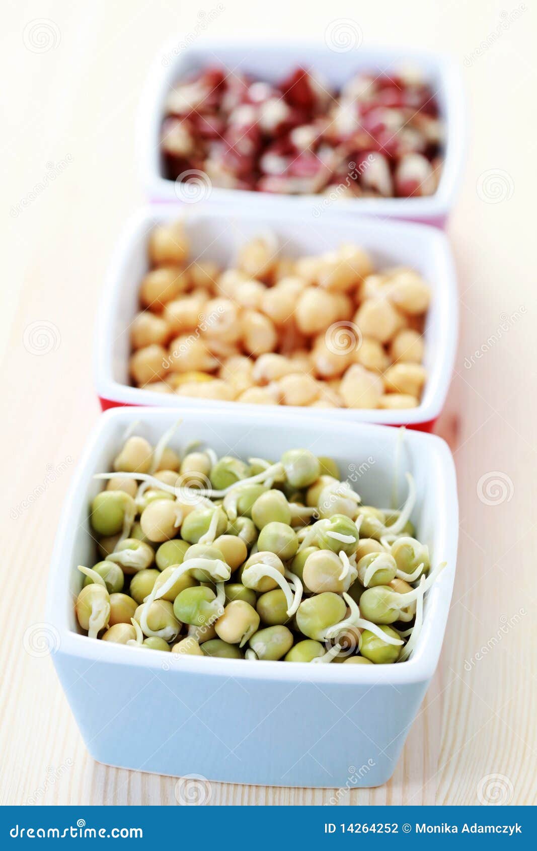 Vegetable sprouts stock photo. Image of bean, eating - 14264252