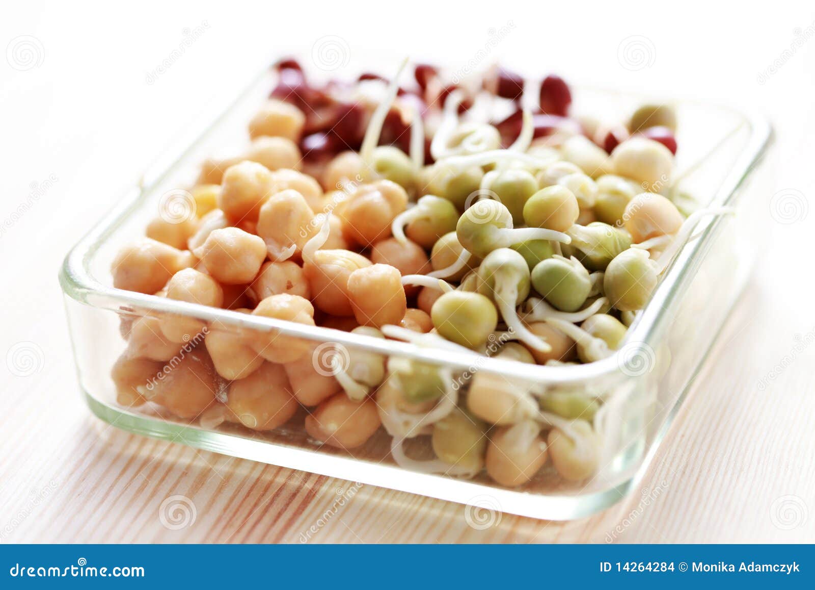 Vegetable sprouts stock photo. Image of sweet, sprout - 14264284