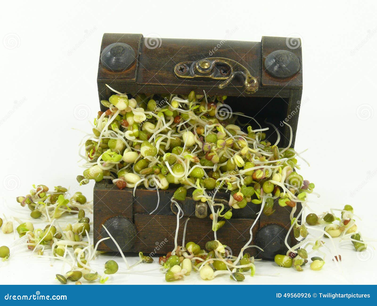 Vegetable sprouts stock photo. Image of drives, vegetable - 49560926