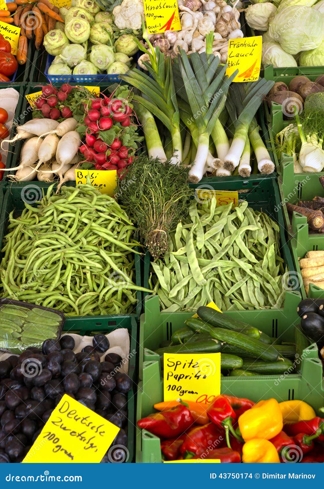 Vegetable stall stock photo. Image of radishes, cabbage - 43750174