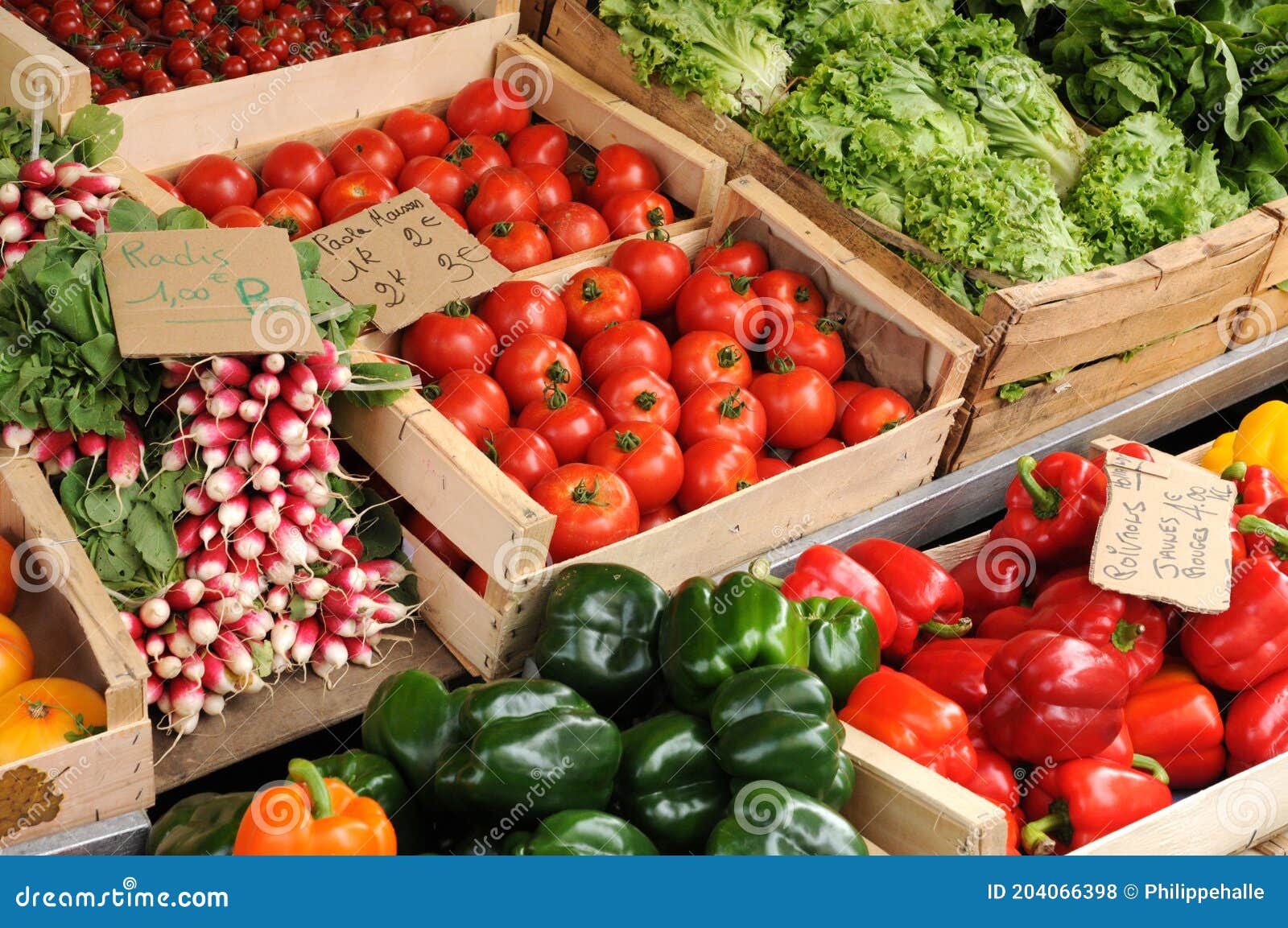 Stale of vegetables stock photo. Image of fresh, organic - 204066398