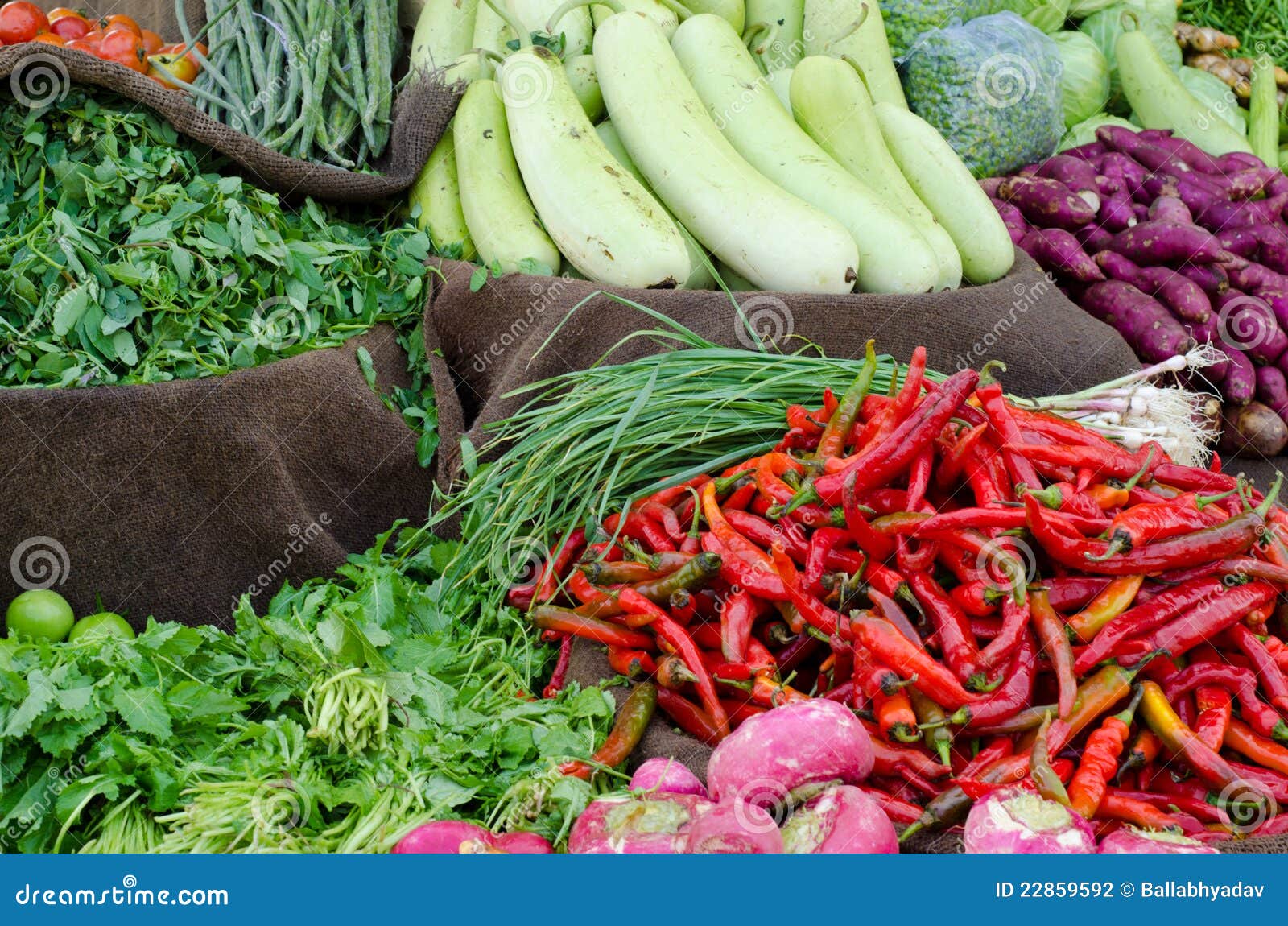 Vegetable stalls stock photo. Image of group, freshness - 22859592
