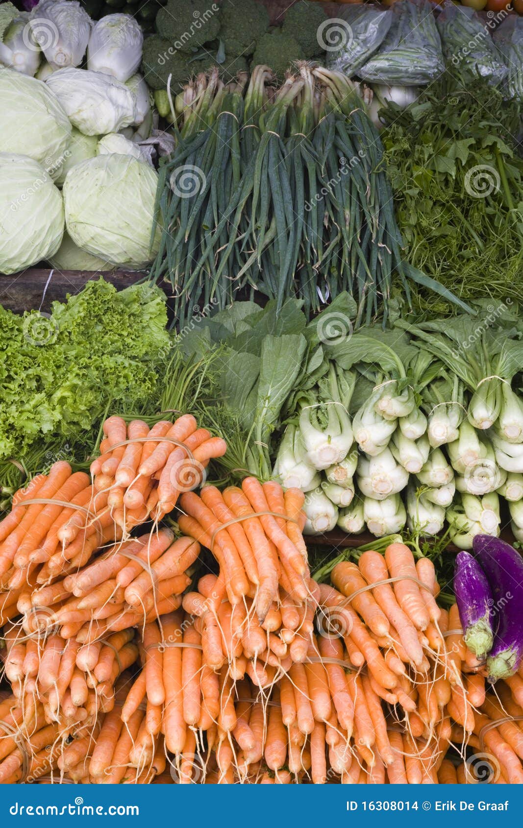Vegetable stand stock photo. Image of choice, variation - 16308014