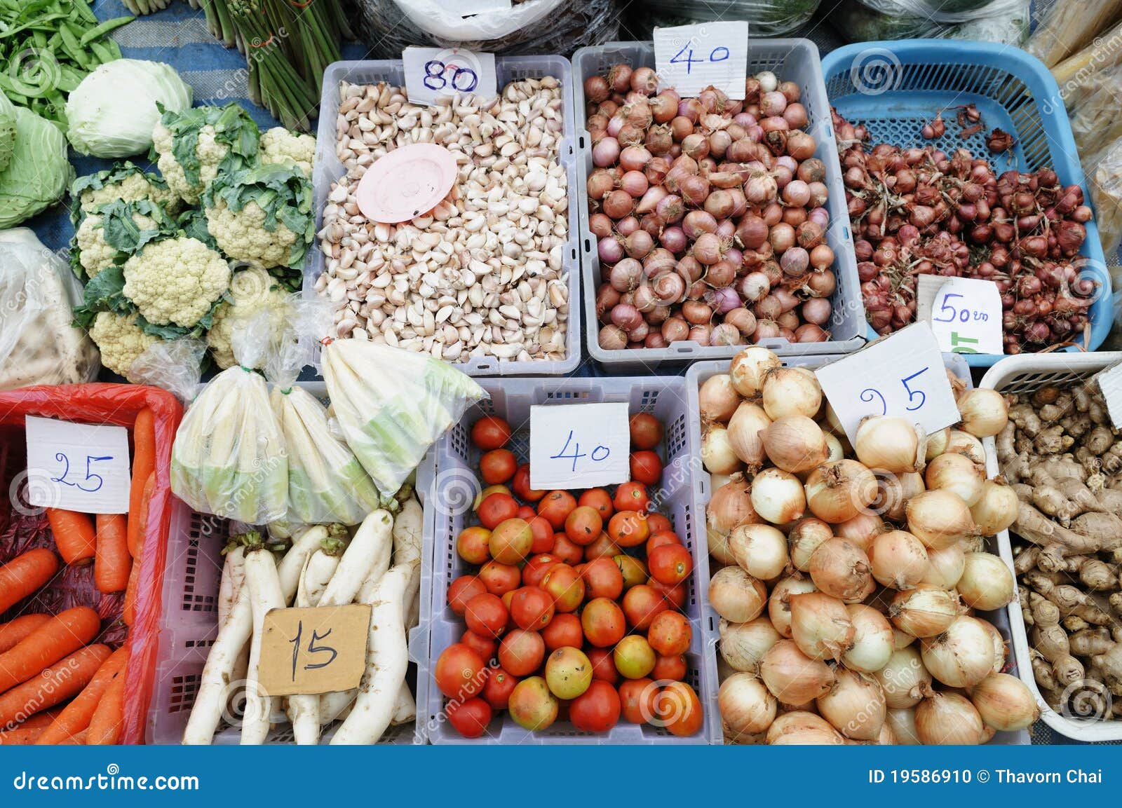 Vegetable stand stock photo. Image of lifestyle, leisure - 19586910