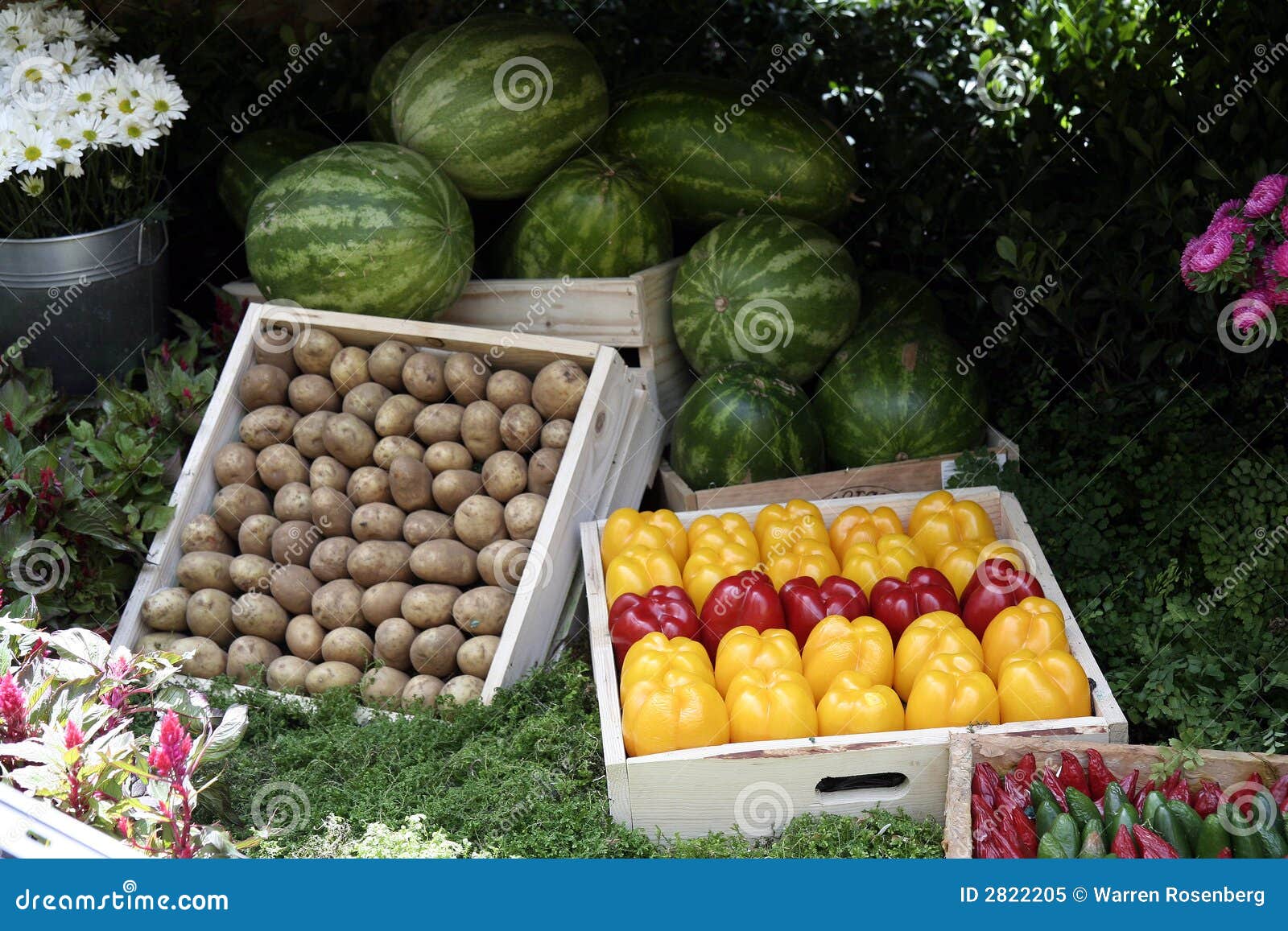 Vegetable Stand stock image. Image of healthy, produce - 2822205