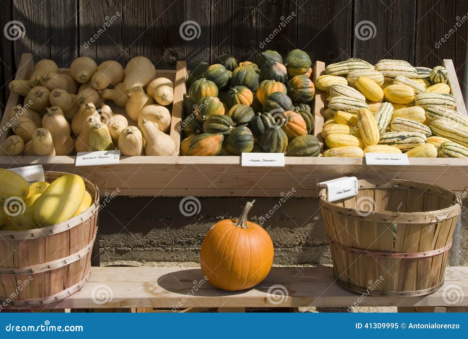 Vegetable Stand stock image. Image of garden, vegetable - 41309995