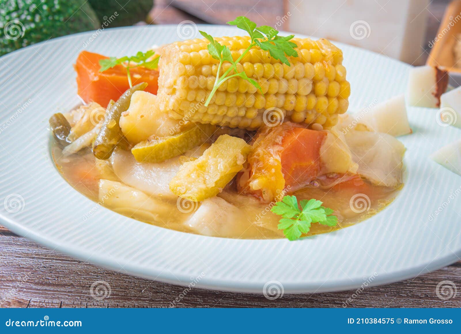 Vegetable stew on plate stock image. Image of diet, carrot - 210384575
