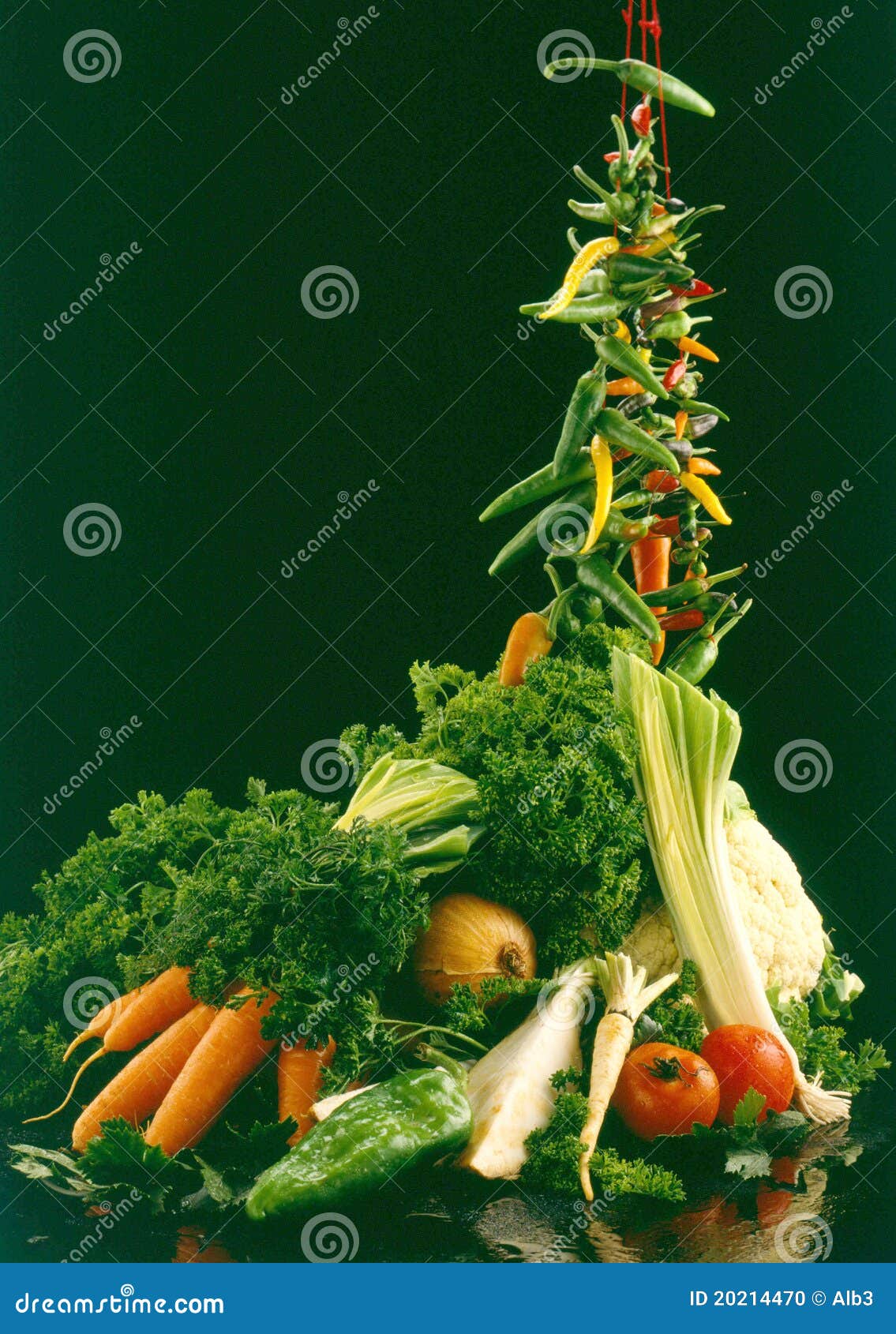 Vegetable still life stock photo. Image of fresh, black - 20214470