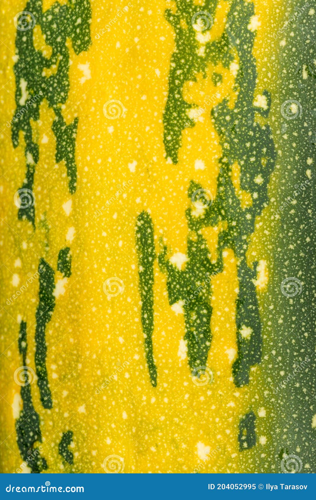 Vegetable Surface Texture. Detail of Nature Stock Image - Image of ...