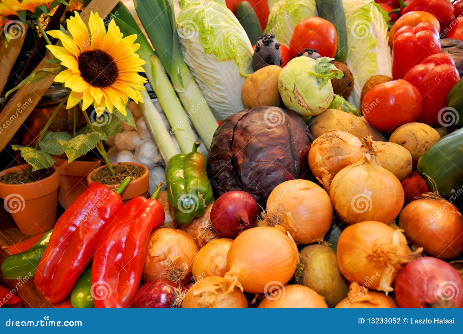 Vegetable on the table stock photo. Image of food, eating - 13233052