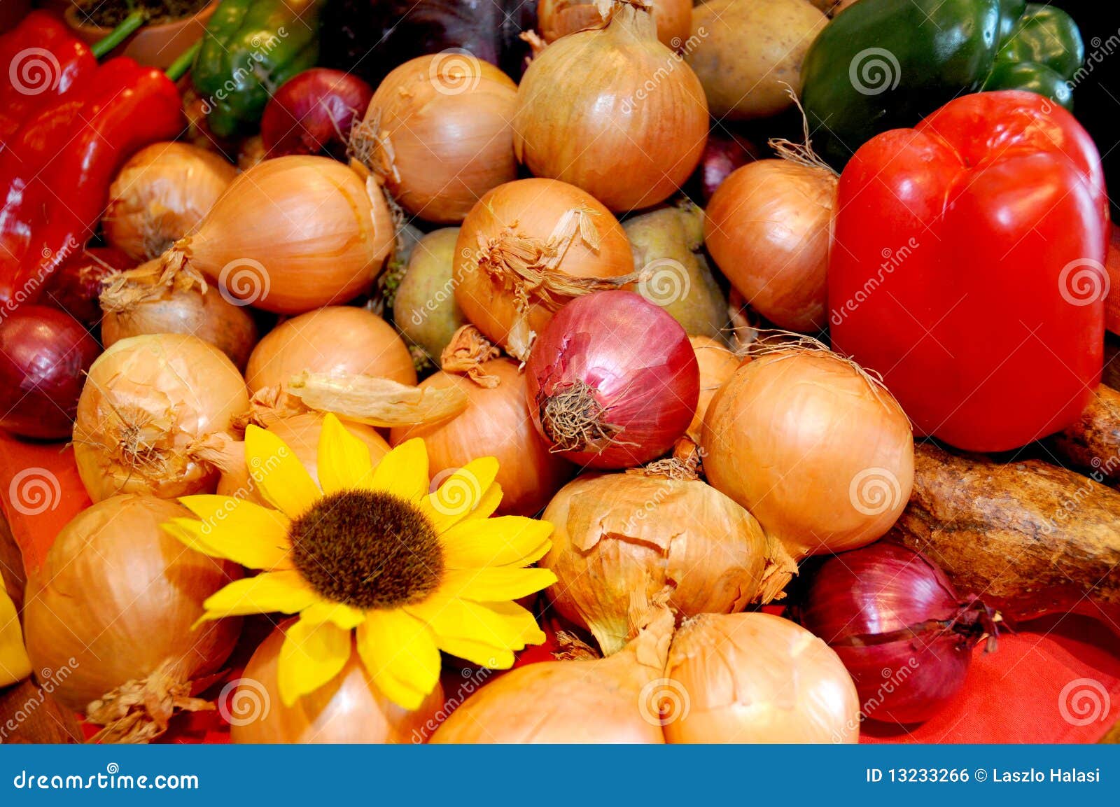 Vegetable on the table stock photo. Image of fruit, isolated - 13233266