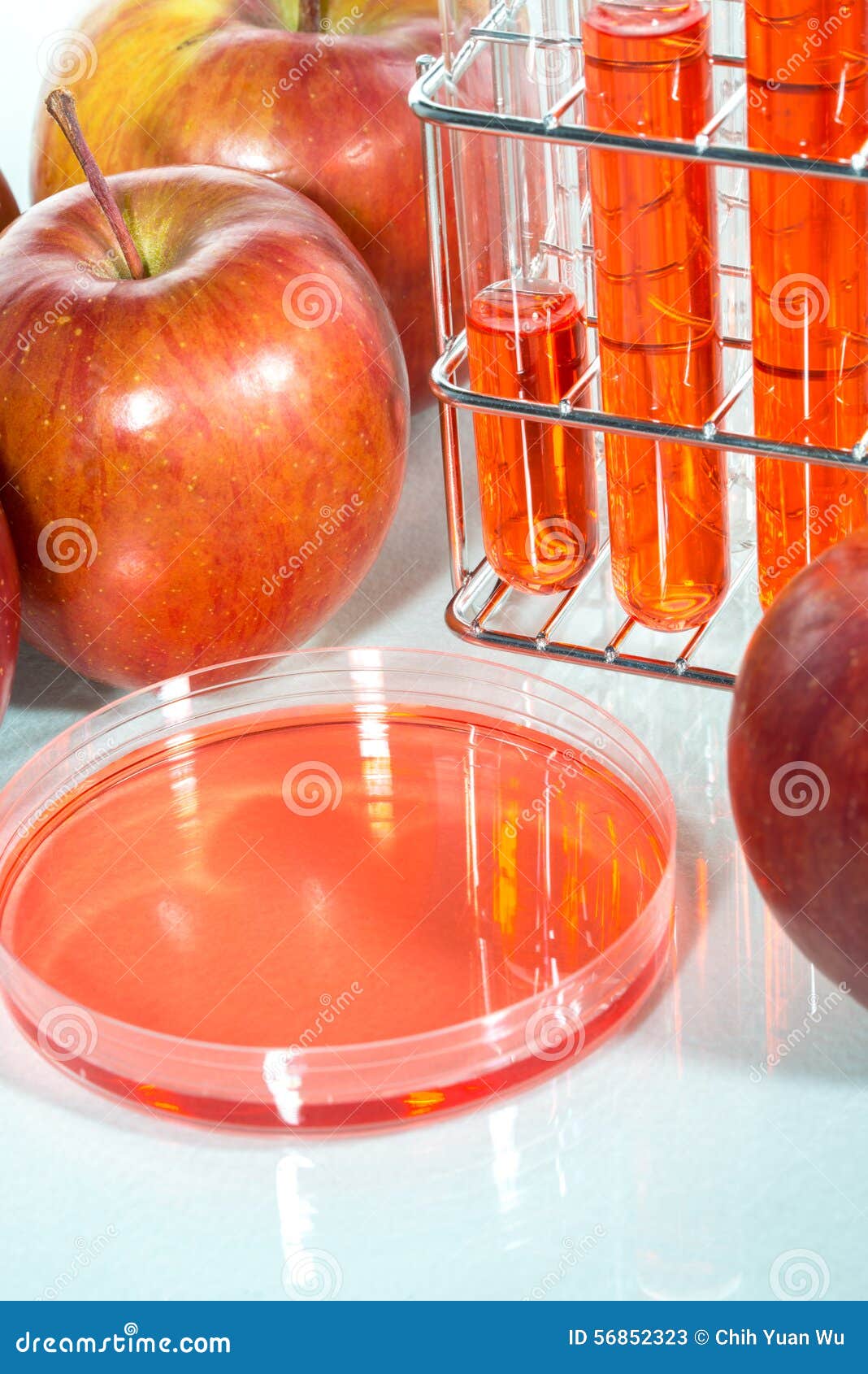 Vegetable Test, Genetic Modification, Apple Stock Image - Image of ...