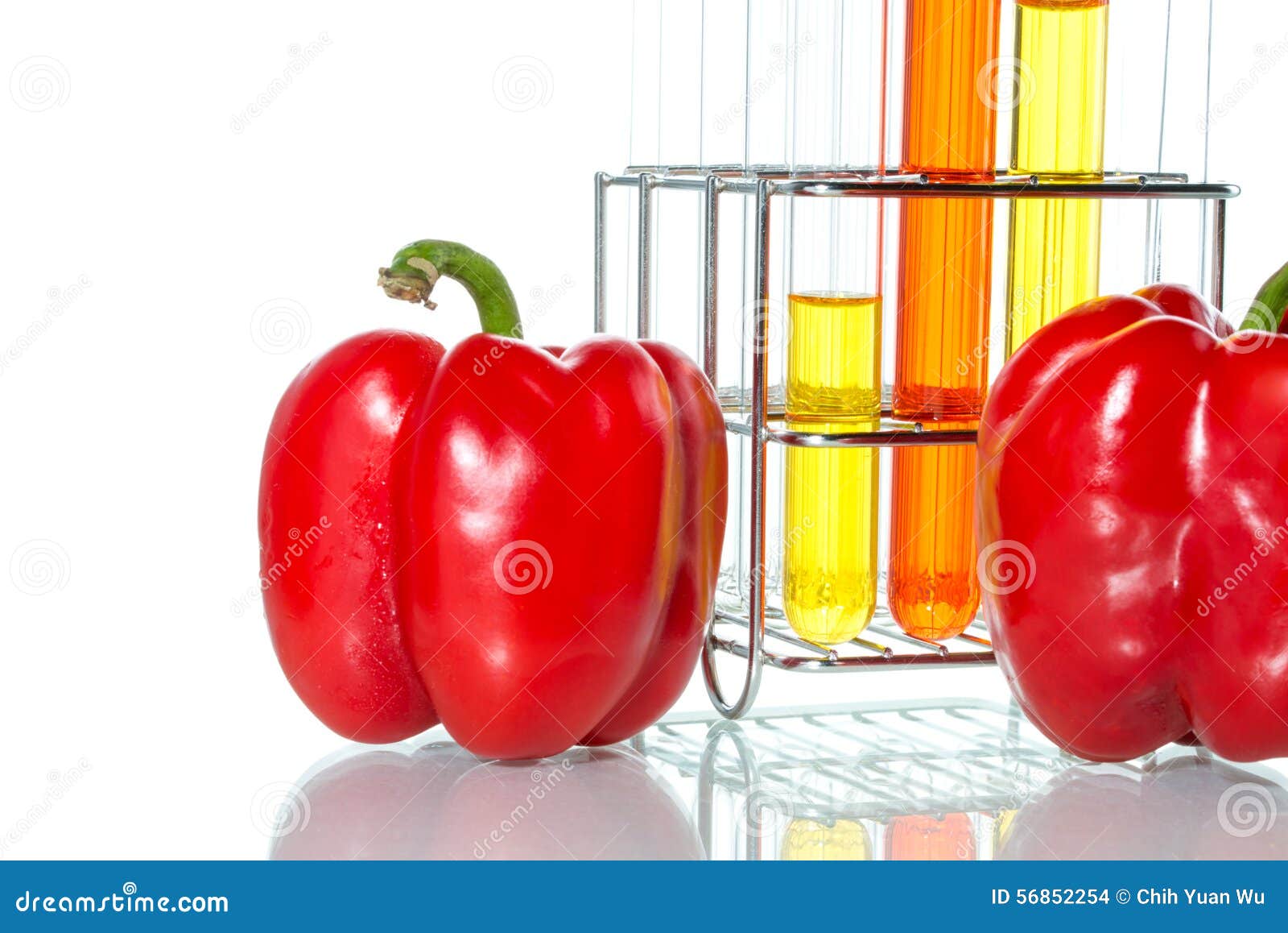 Vegetable Test, Genetic Modification, Pepper Stock Photo - Image of ...