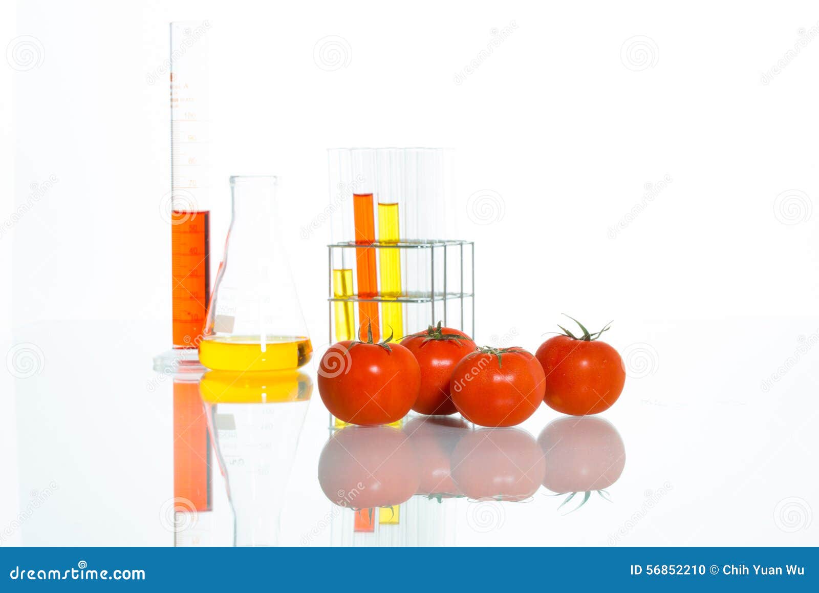 Vegetable Test, Genetic Modification, Tomato Stock Photo - Image of ...