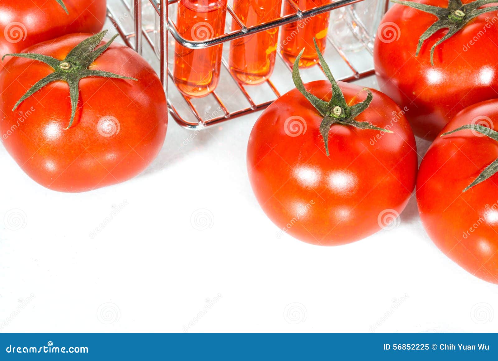 Vegetable Test, Genetic Modification, Tomato Stock Image - Image of ...