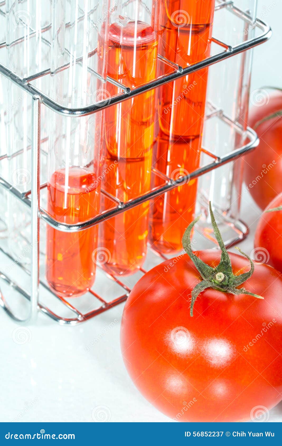 Vegetable Test, Genetic Modification, Tomato Stock Image - Image of ...