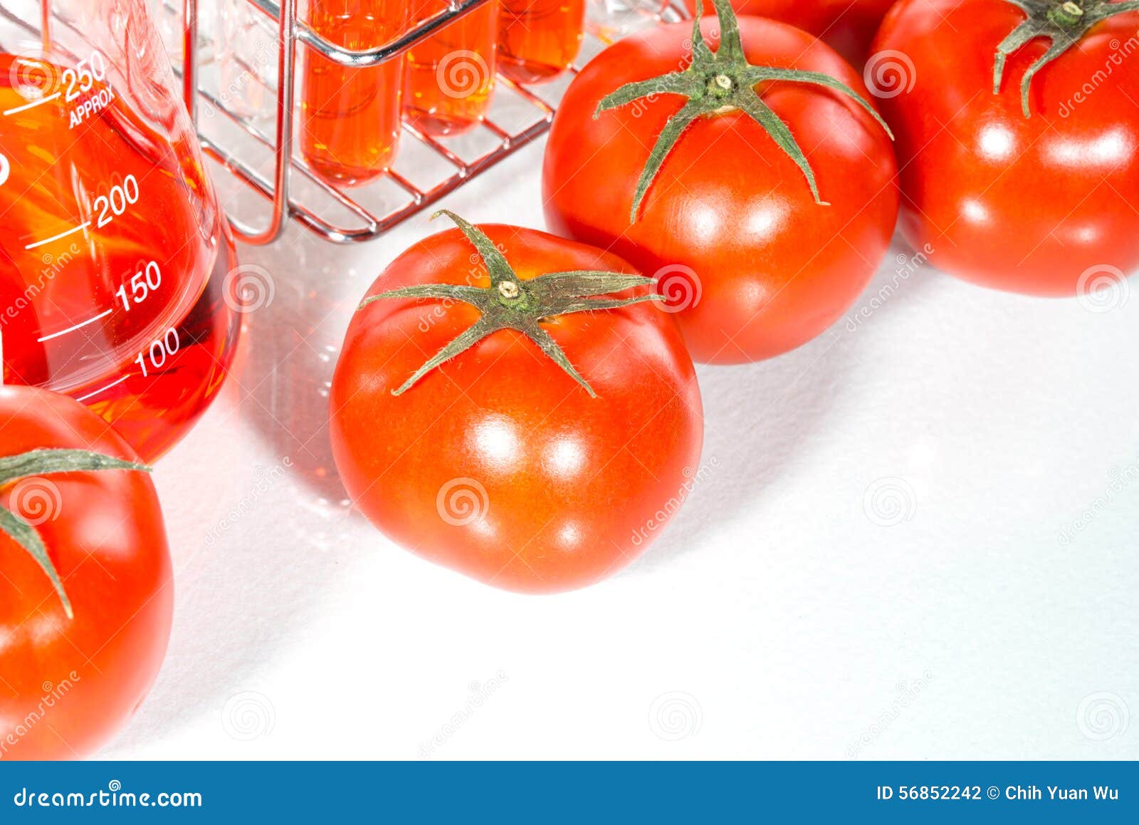 Vegetable Test, Genetic Modification, Tomato Stock Photo - Image of ...