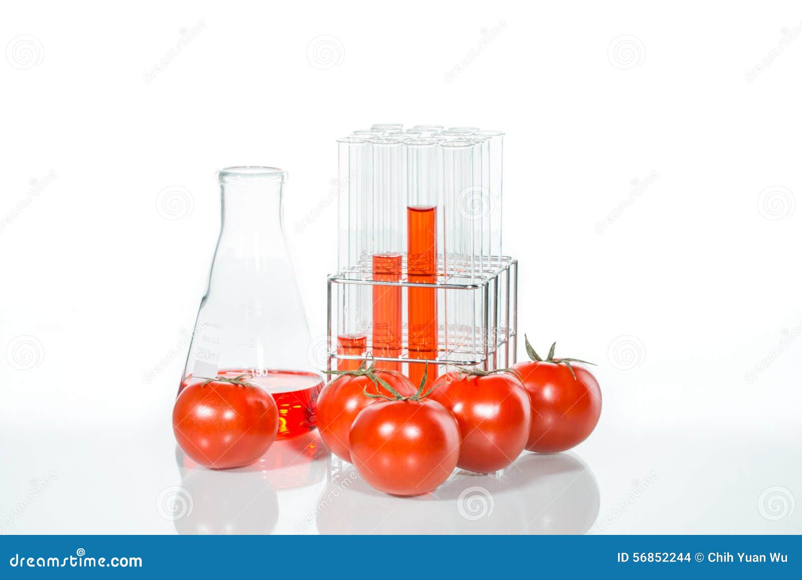 Vegetable Test, Genetic Modification, Tomato Stock Photo - Image of ...