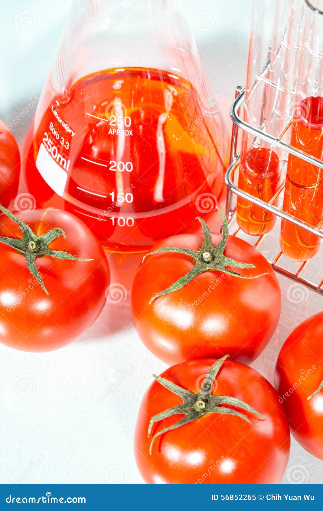 Vegetable Test, Genetic Modification, Tomato Stock Image - Image of ...
