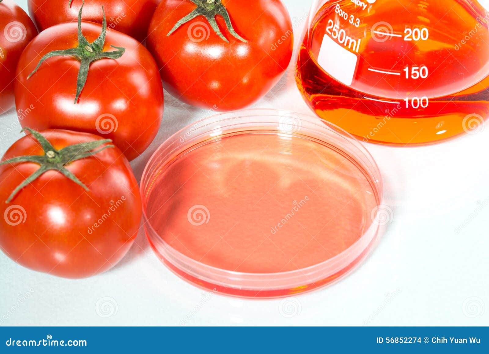 Vegetable Test, Genetic Modification, Tomato Stock Photo - Image of ...