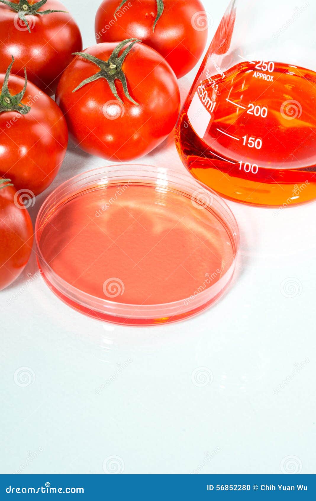 Vegetable Test, Genetic Modification, Tomato Stock Photo - Image of ...