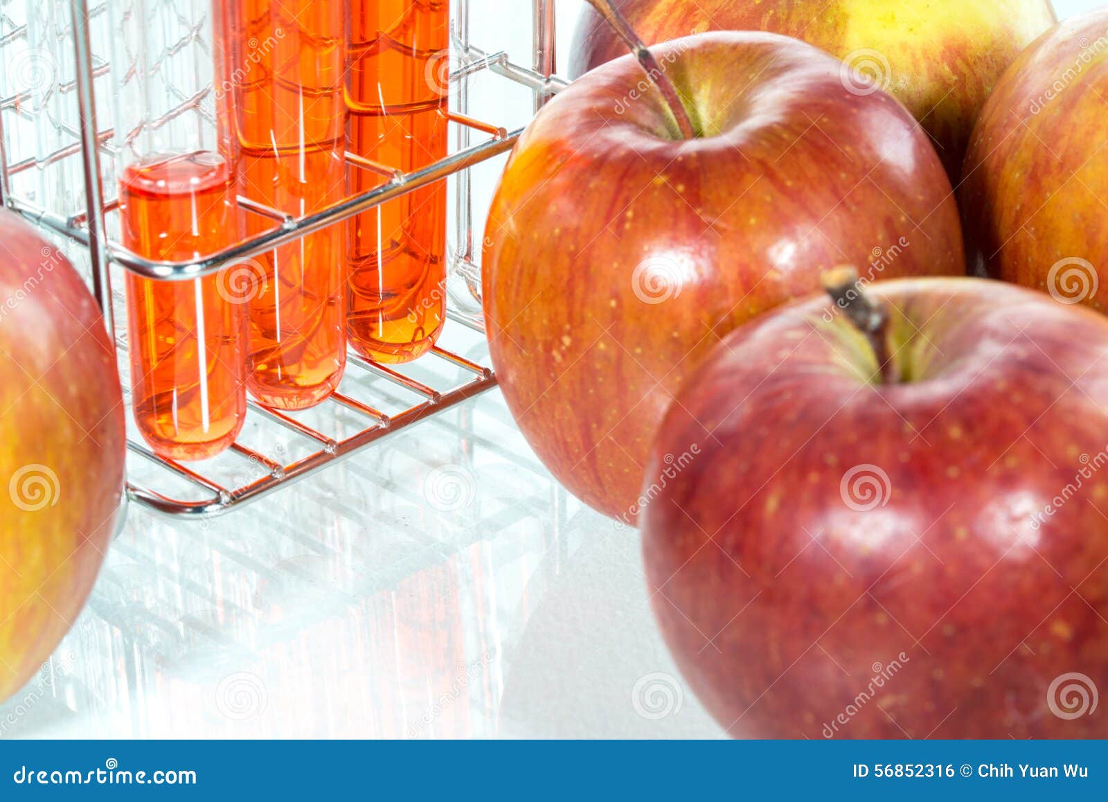 Vegetable Test, Genetic Modificationm,apple Stock Photo - Image of ...