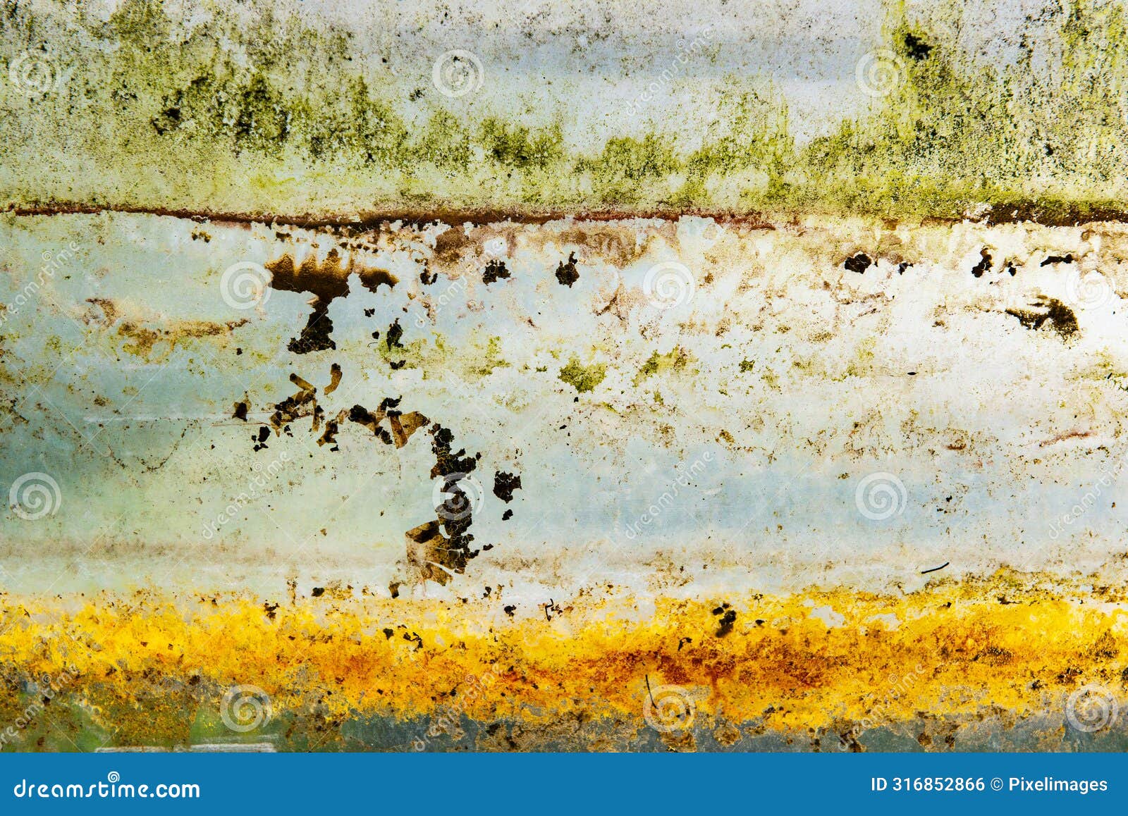 Vegetable Texture, Rust, Humidity, Traces on Plastic Stock Photo ...