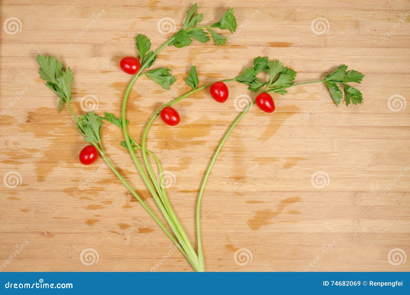 Vegetable tree stock image. Image of herb, dishes, cucumber - 74682069