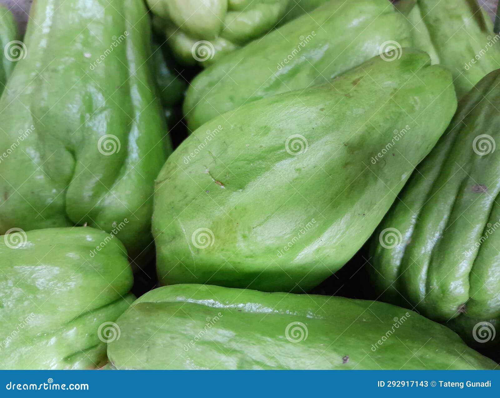 Medium-sized Chayote on Display at a Traditional Market. Stock Image ...