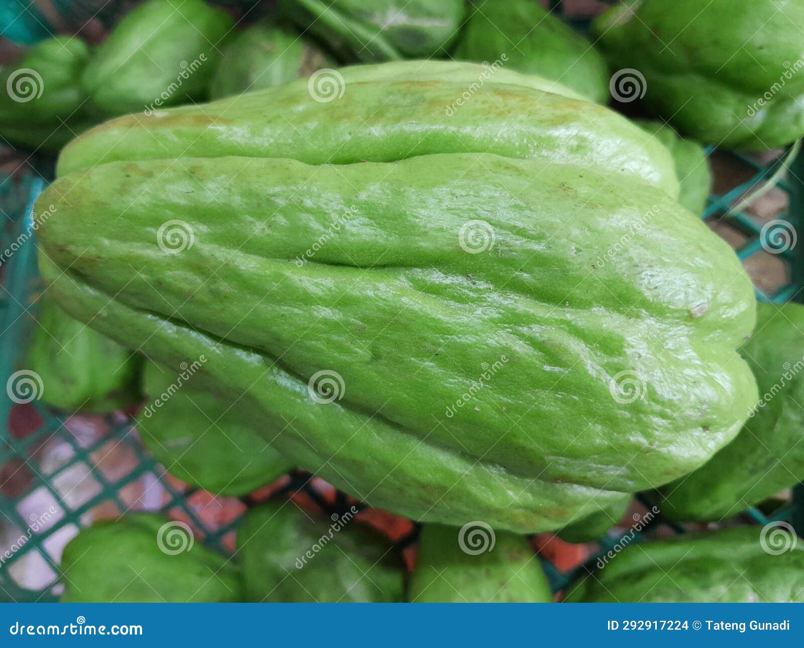 Medium-sized Chayote on Display at a Traditional Market. Stock Photo ...