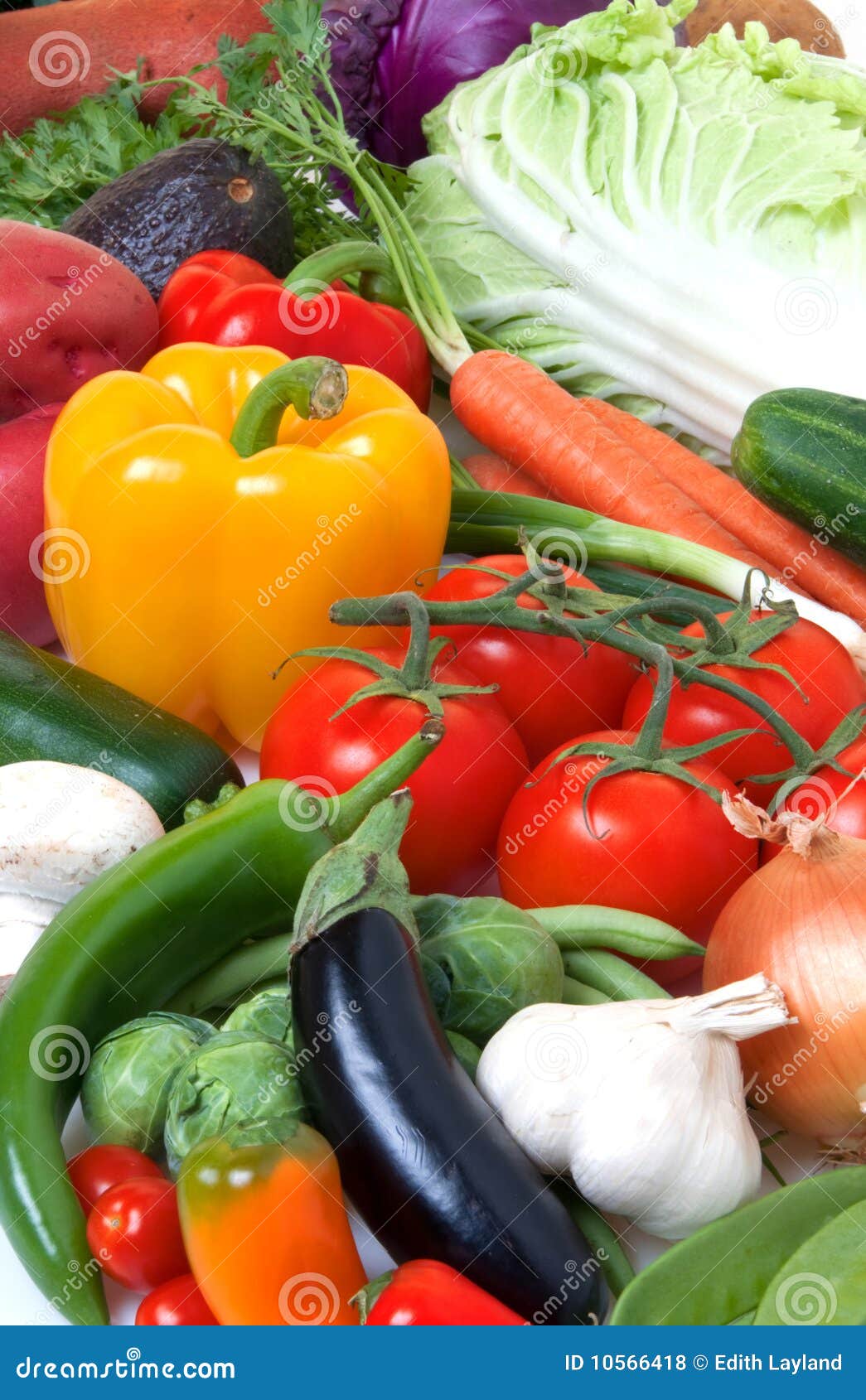 Vegetable Variety stock photo. Image of dinner, avocado - 10566418