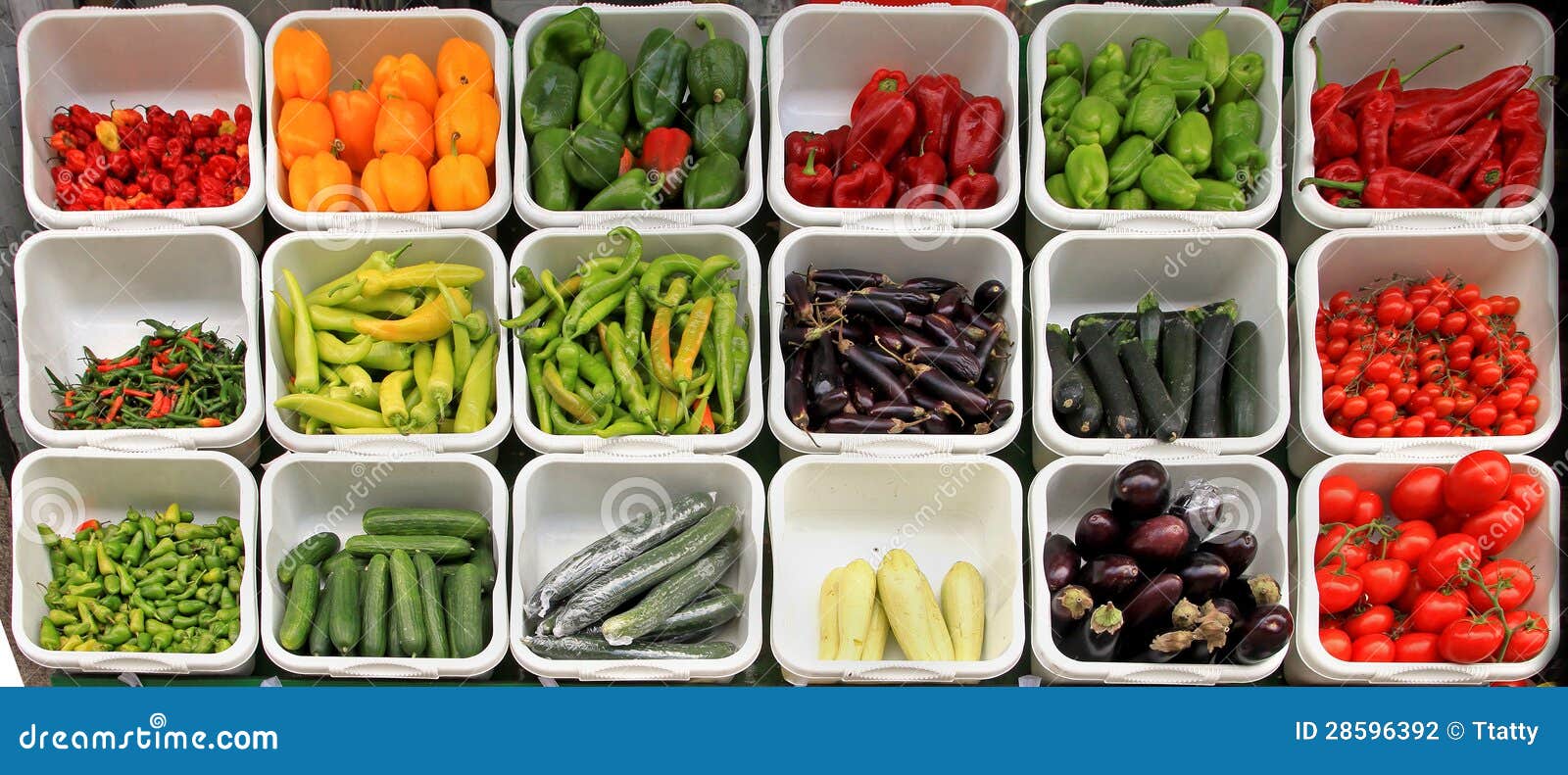 Vegetable variety stock photo. Image of courgette, healthy - 28596392