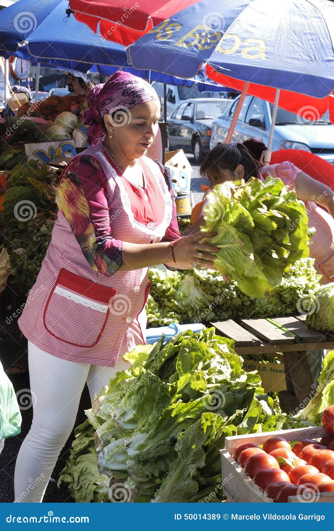 Vegetable vendor editorial stock image. Image of sell - 50014389