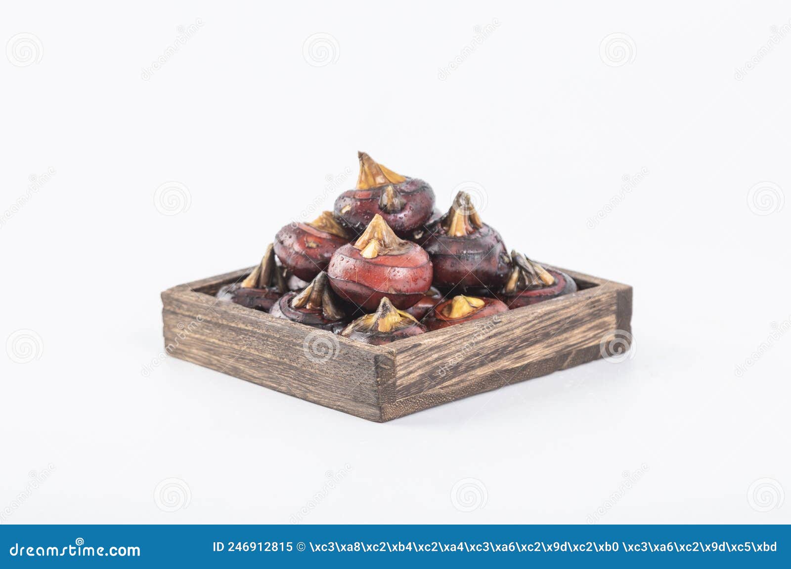 Vegetable Water Chestnuts on a White Background Stock Image - Image of ...