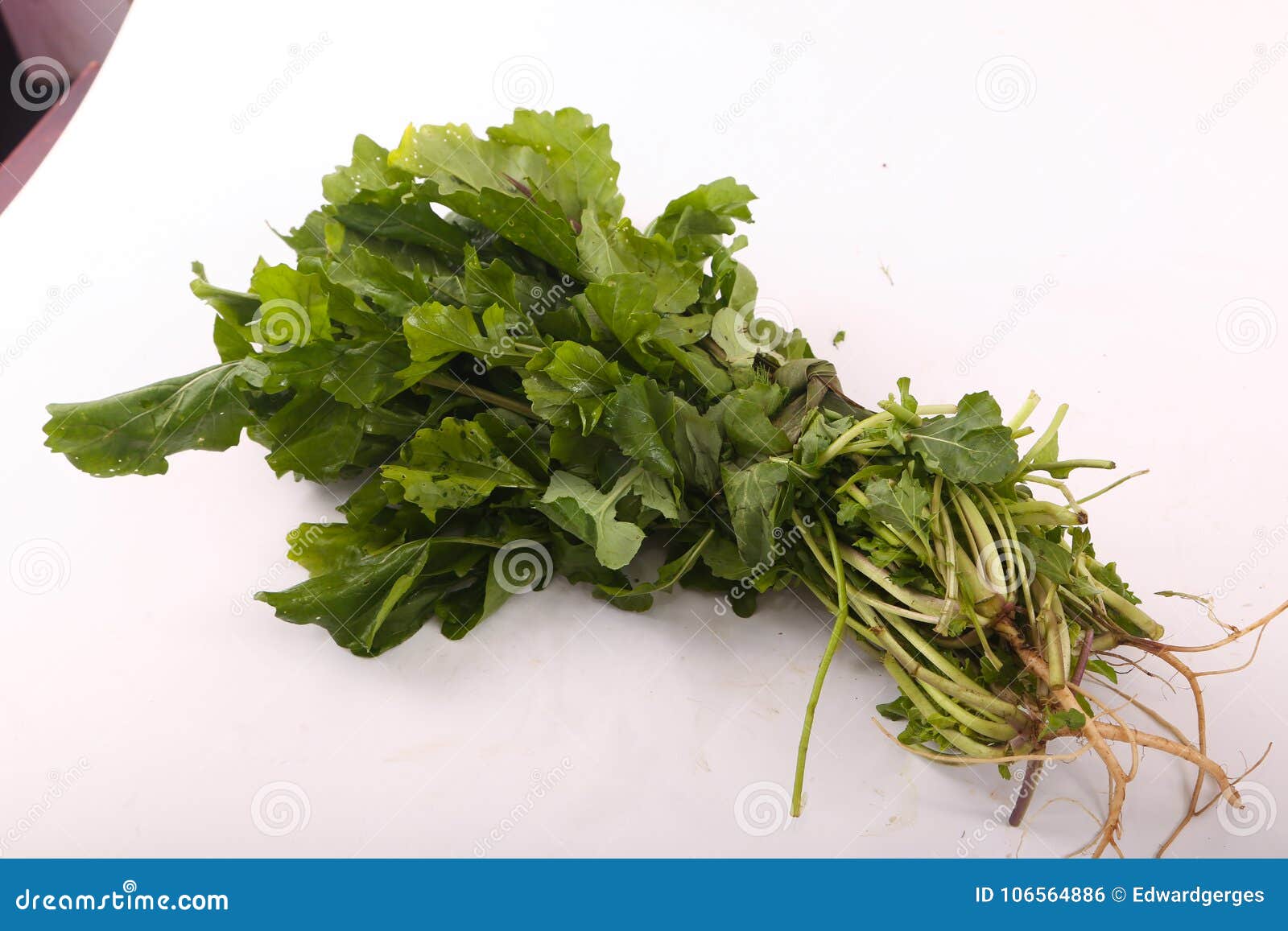Vegetable watercress stock photo. Image of copy, black - 106564886
