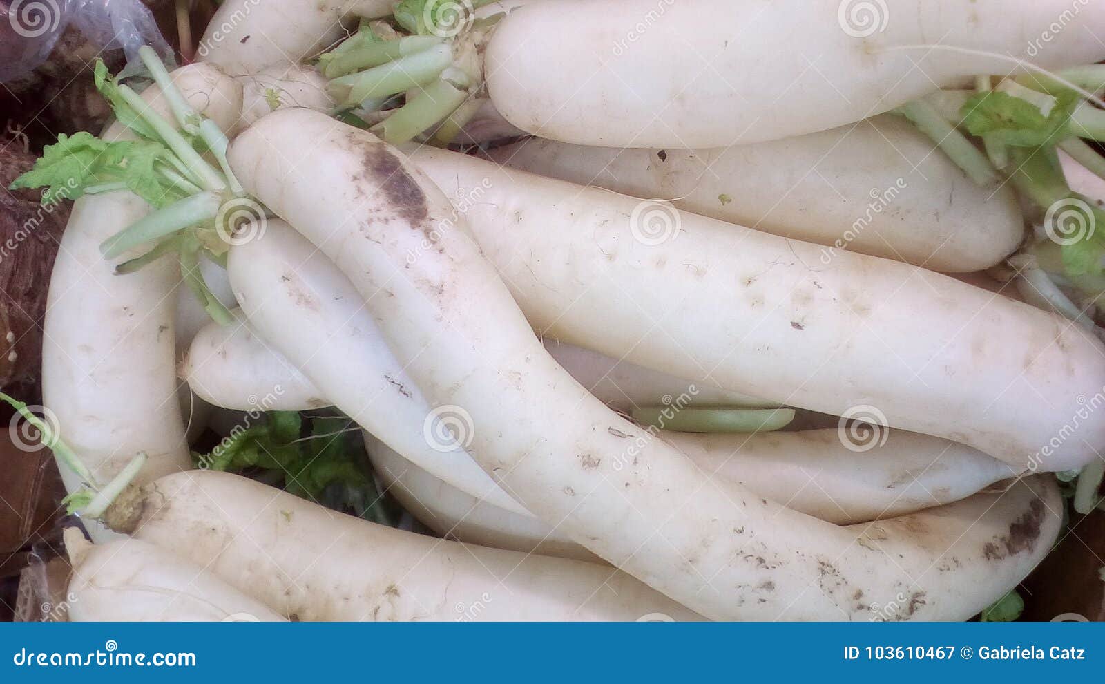 Vegetable stock image. Image of food, season, healthy - 103610467