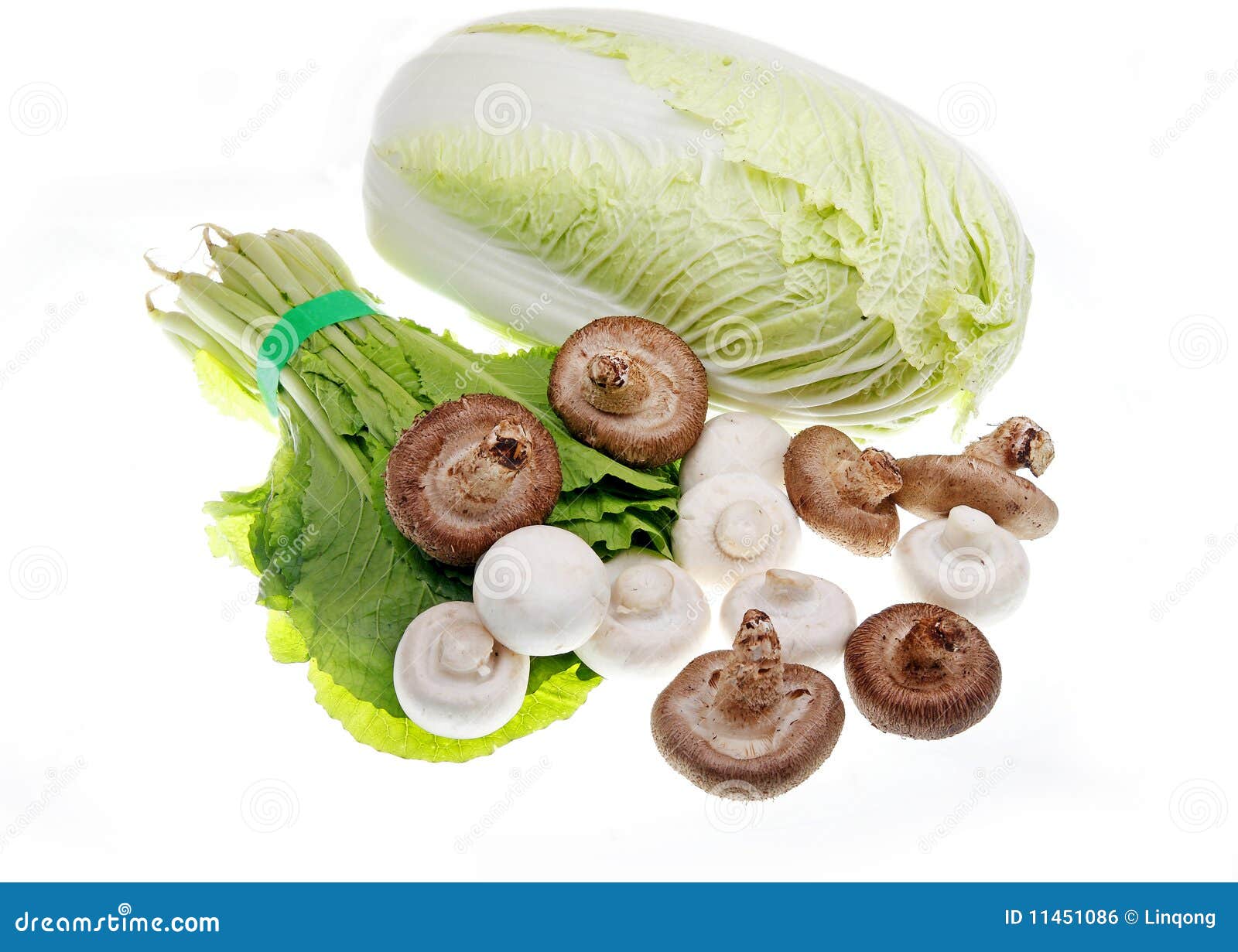 Vegetables stock photo. Image of flat, romantic, beige - 11451086