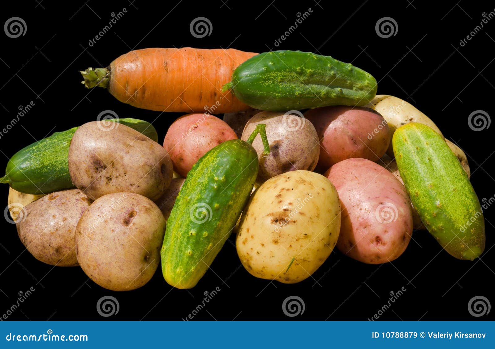 Vegetables 17 stock image. Image of food, nature, cucumber - 10788879